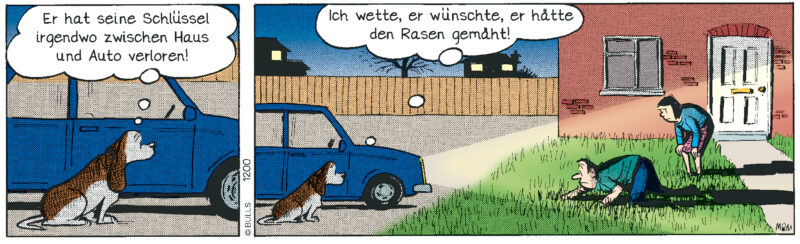 Wurzel - Bullsmedia.de